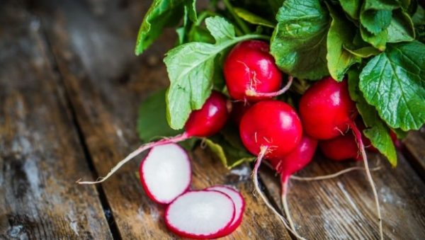 Reďkovka (Raphanus sativus) – účinky na zdravie, pestovanie a ...